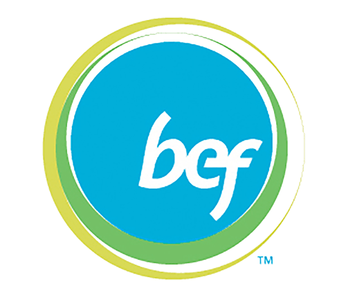 Bonneville Environmental Foundation (BEF) - New Metrics '18